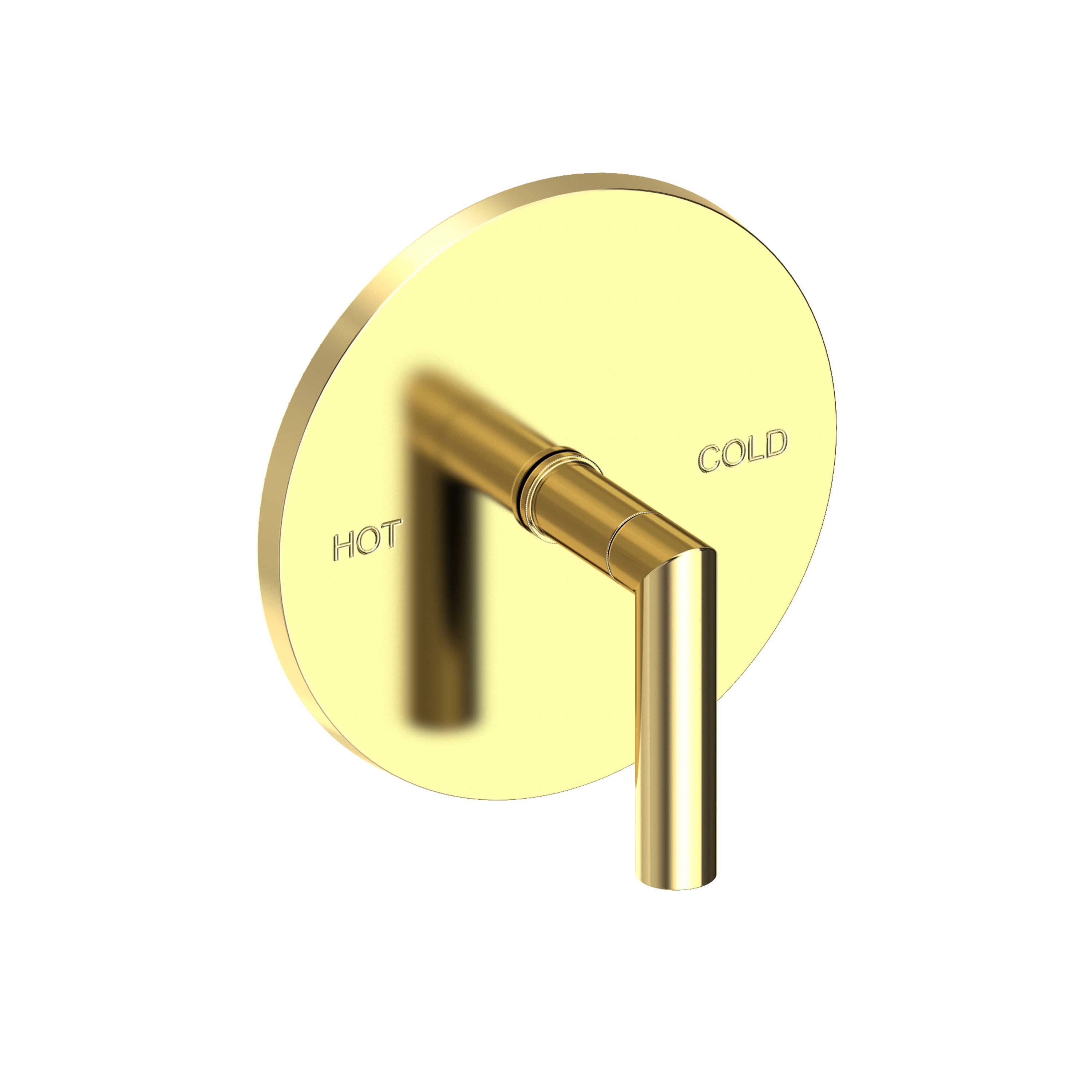 Pavani Balanced Pressure Shower Trim Plate With Handle Less Pavani Balanced Pressure Shower Trim Plate With Handle Less