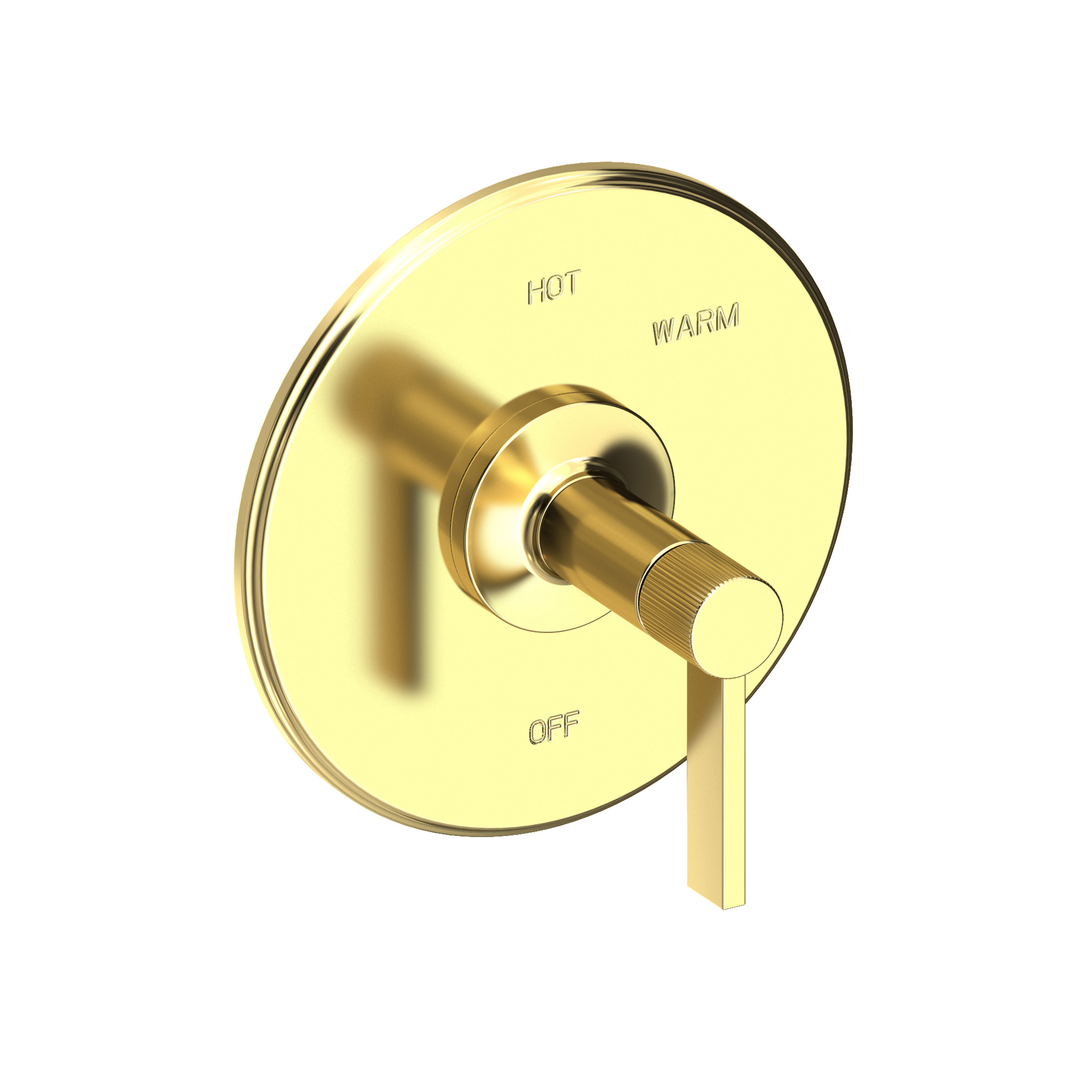 Pardees Balanced Pressure Shower Trim Plate With Handle Less Pardees Balanced Pressure Shower Trim Plate With Handle Less
